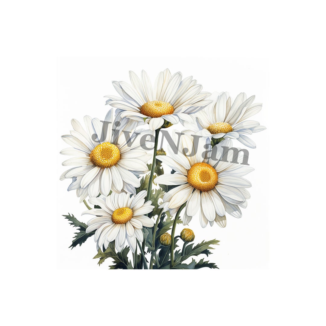 60 PNG Sunflowers, Roses, Daisies Bundle, Flower Print, Clipart PNG ...