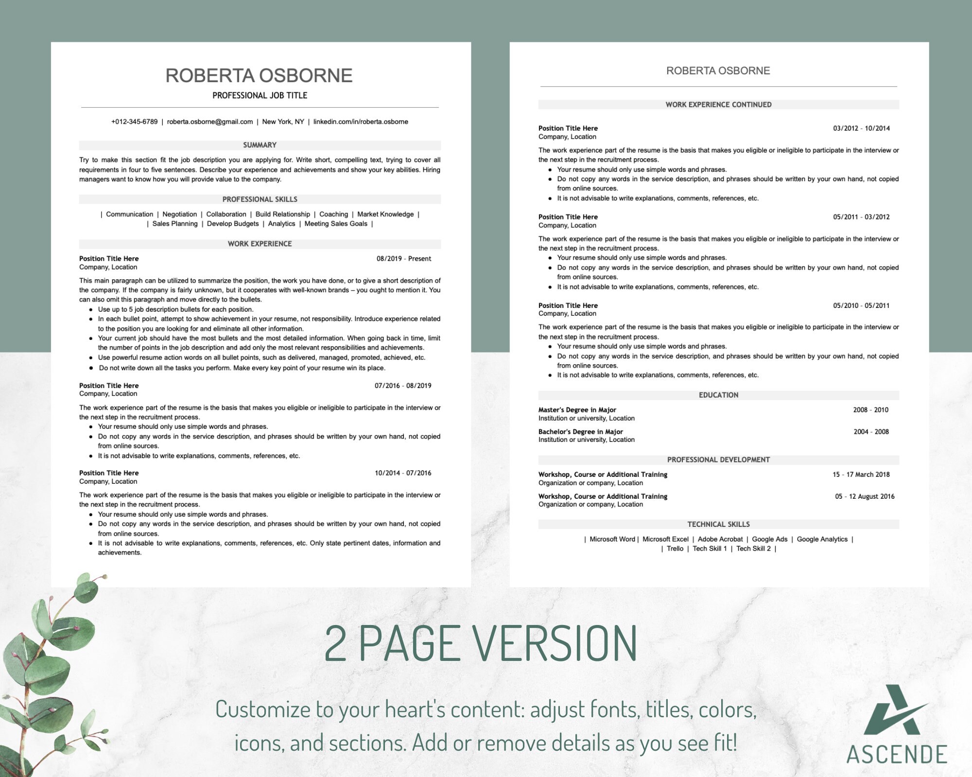 Minimalist ATS CV Template 2023 for Google Docs: Professional 1 & 2 ...