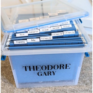 Printable Memory Box Filing System, Keepsake Box, Milestone Tote Labels ...