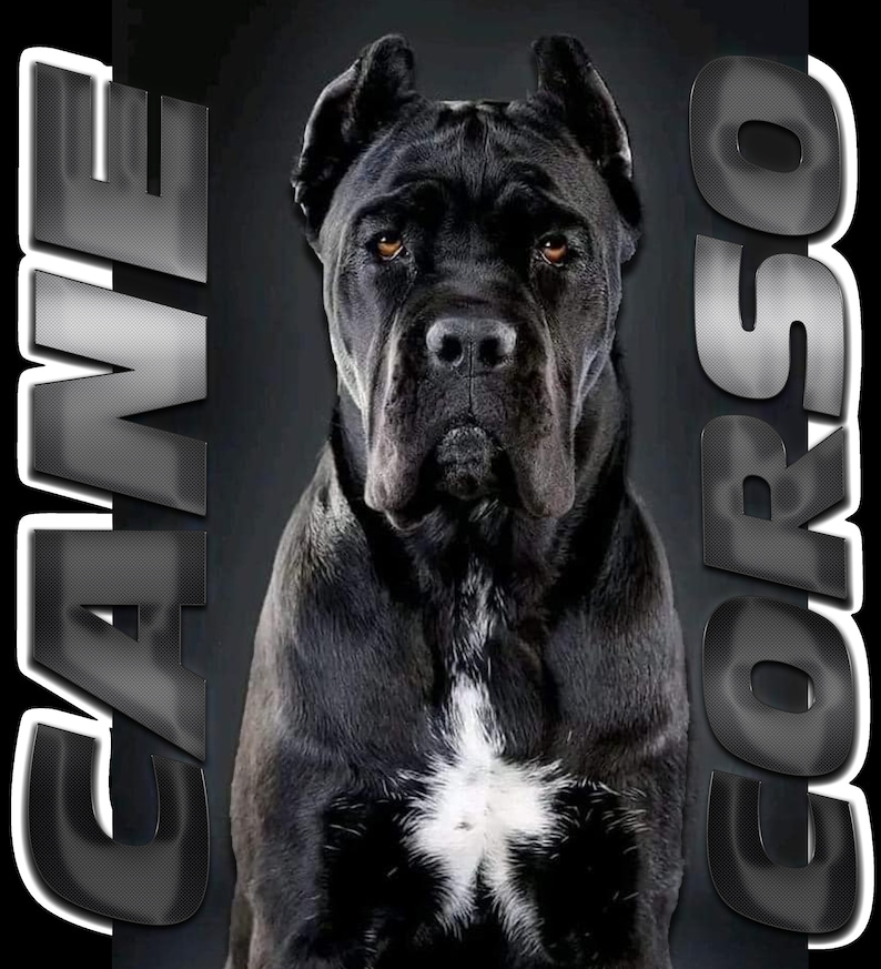 I Love My Cane Corso - Etsy
