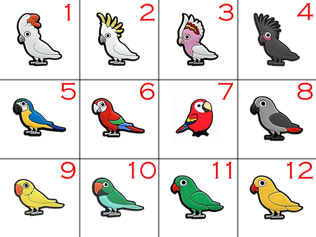 Whimsical Parrot & Cockatoo Shoe Charms Singles Cute Colorful Jibbitz ...