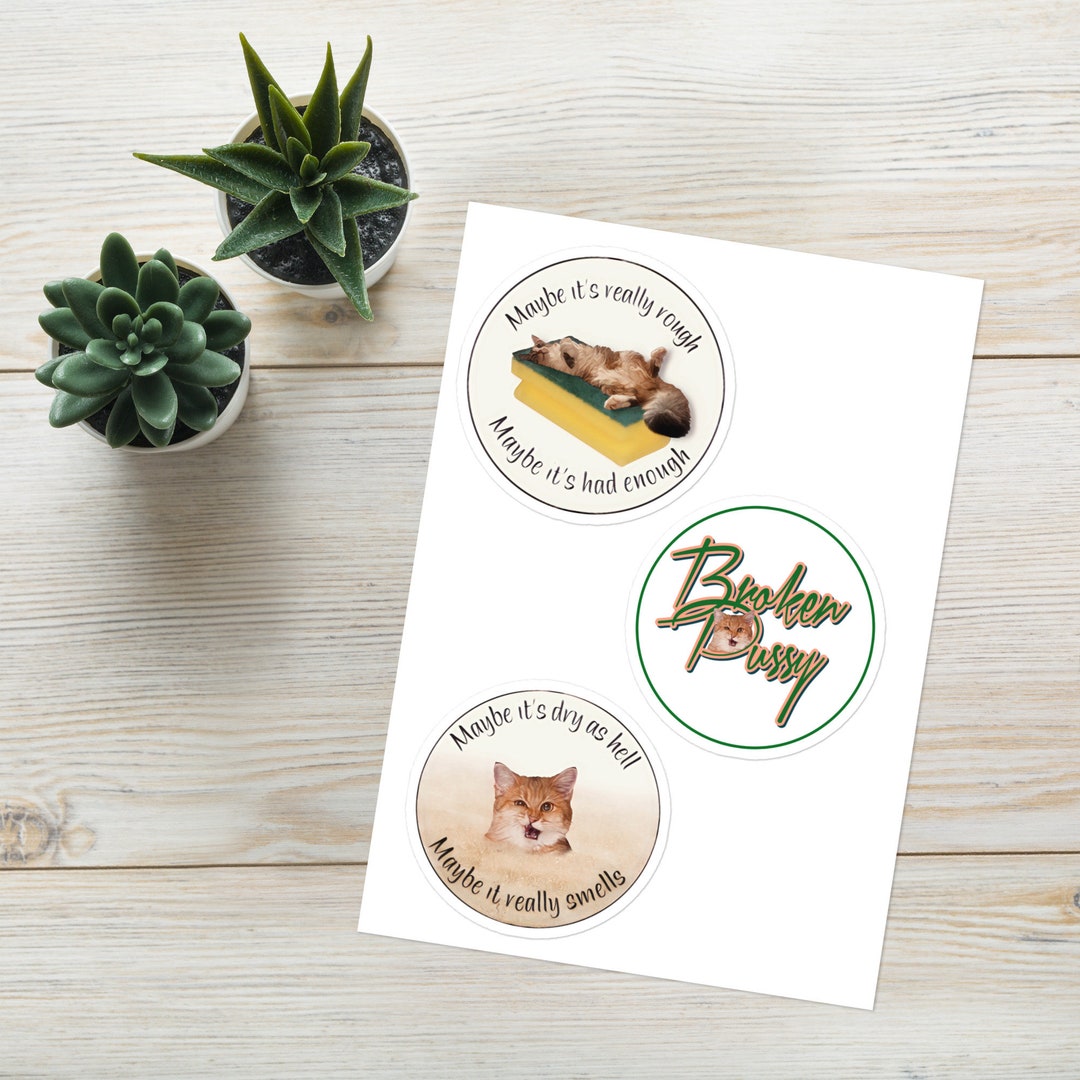 Insecure Fan Art Broken Kitty Sticker Sheet - Etsy