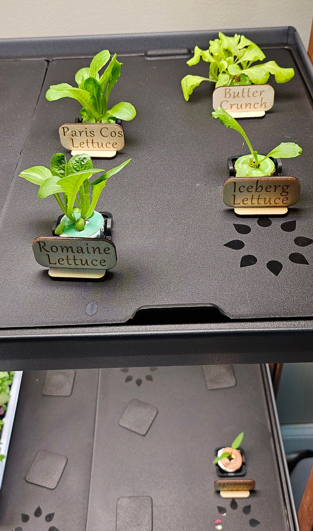 Hydroponic Garden Plant Label Markers (12 Signs, One Dozen) Garden ...