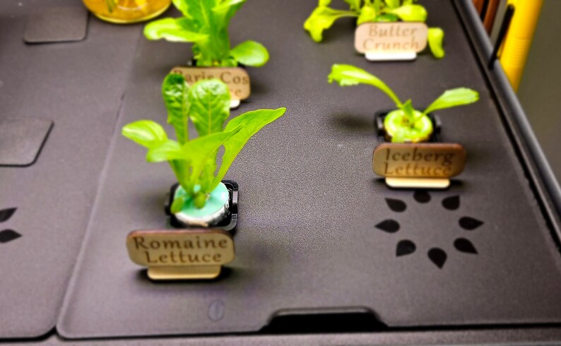 Hydroponic Garden Plant Label Markers (12 Signs, One Dozen) Garden ...