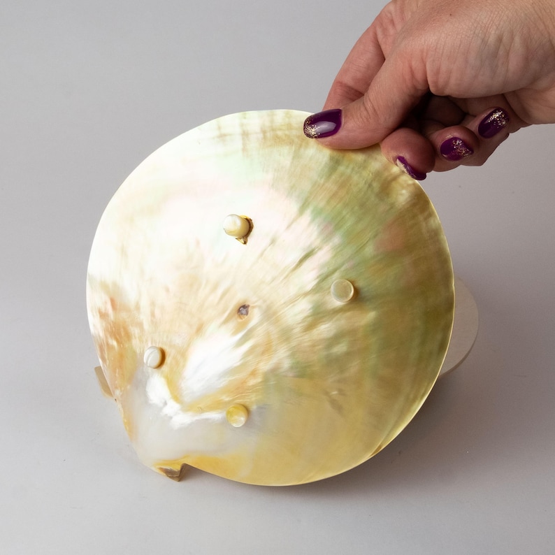 3 VTG Mother of Pearl Caviar Serving Dishes 6.75"x6.6" Beautiful ...