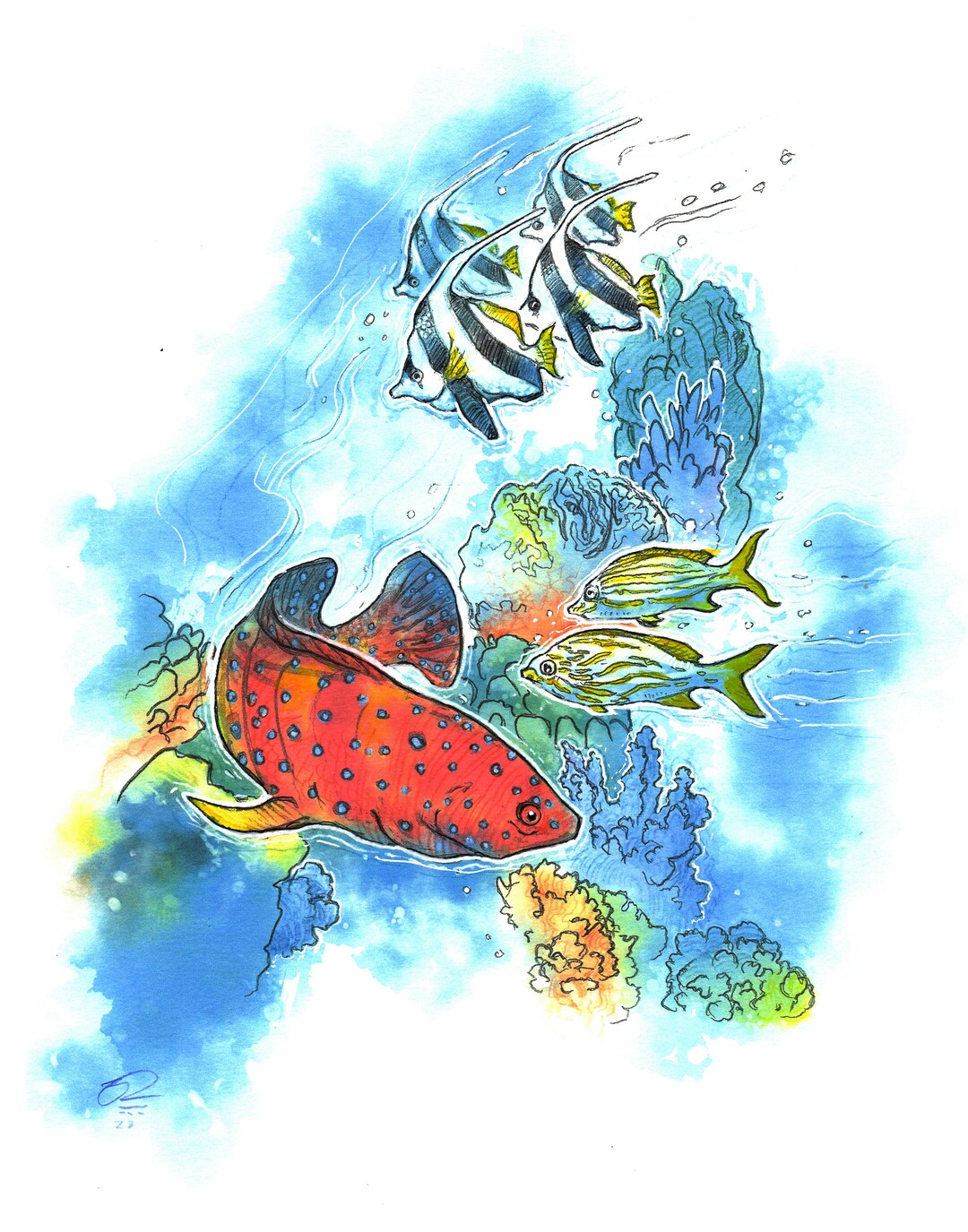 Marine Symphony: Coral Grouper and Friends in Colorful Coral Reef ...