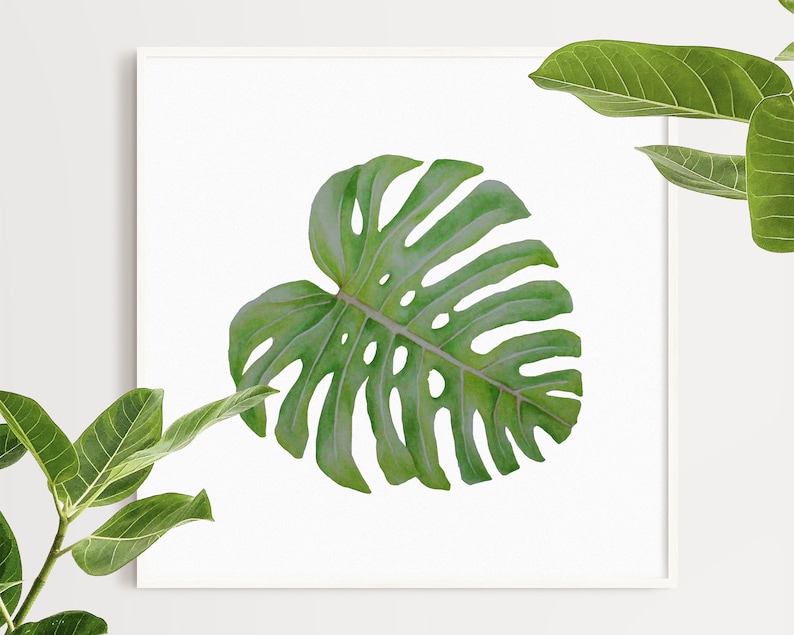 Monstera Plant Art Print | Digital Artwork | Nature Art Print | High ...
