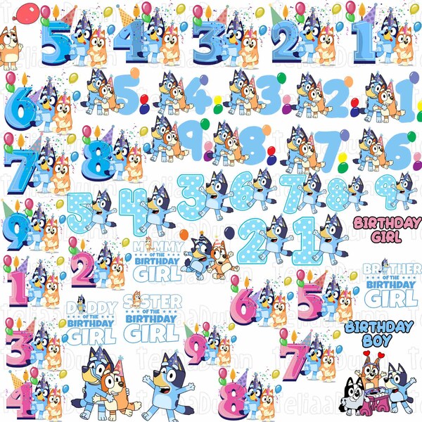 Bluey Birthday - Etsy