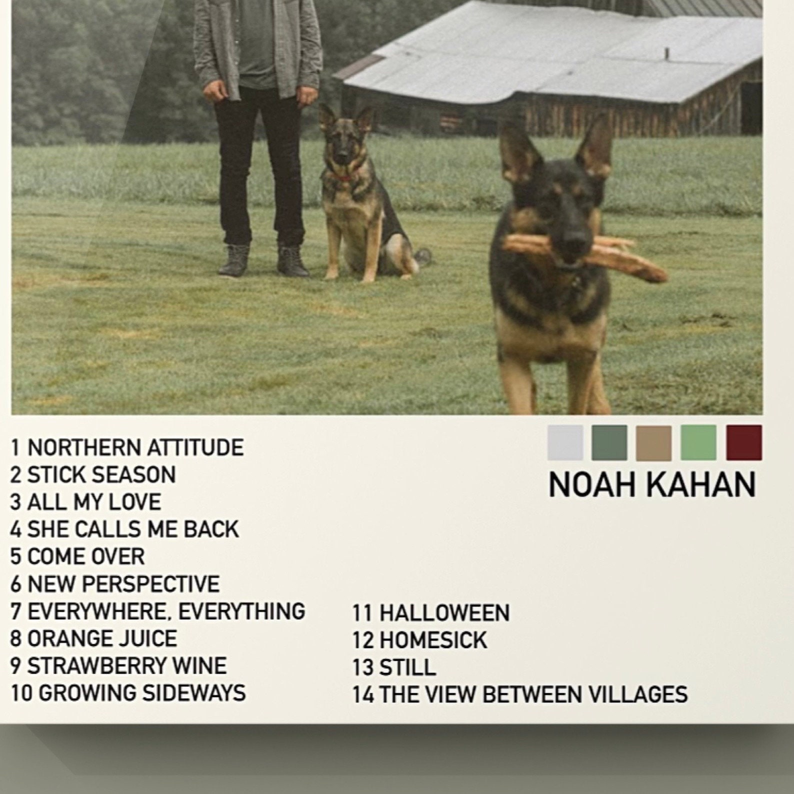 Noah Kahan Stick Season Album Cover Poster