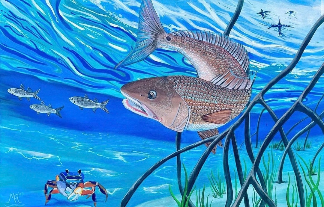 Red Drum Print 8x10 - Etsy