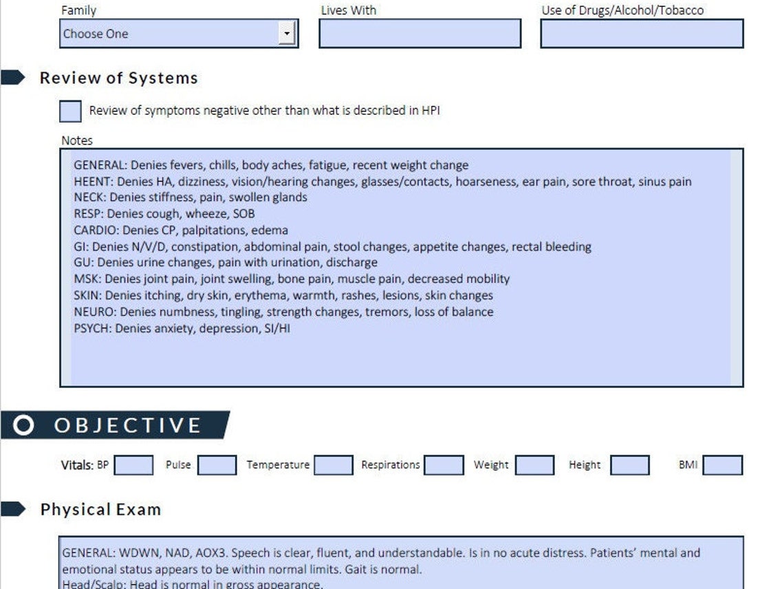 Fillable SOAP NOTE PDF for Nurse Practitioner Students - Etsy