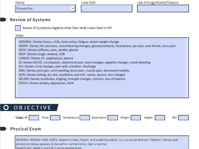 Fillable SOAP NOTE PDF for Nurse Practitioner Students - Etsy
