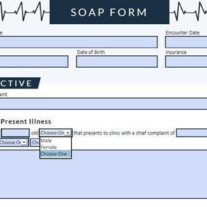 Fillable SOAP NOTE PDF for Nurse Practitioner Students - Etsy