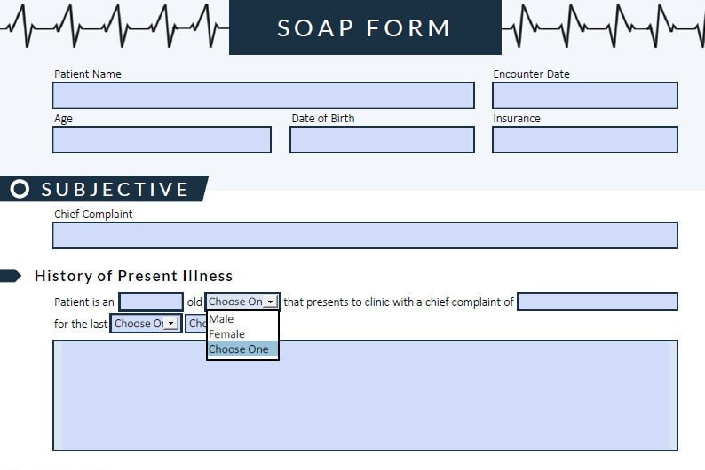 Fillable SOAP NOTE PDF for Nurse Practitioner Students - Etsy
