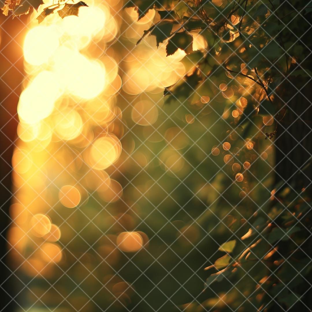 Bokeh Photography Backdrop, Forest Photo Backdrop, Blurred Photography ...