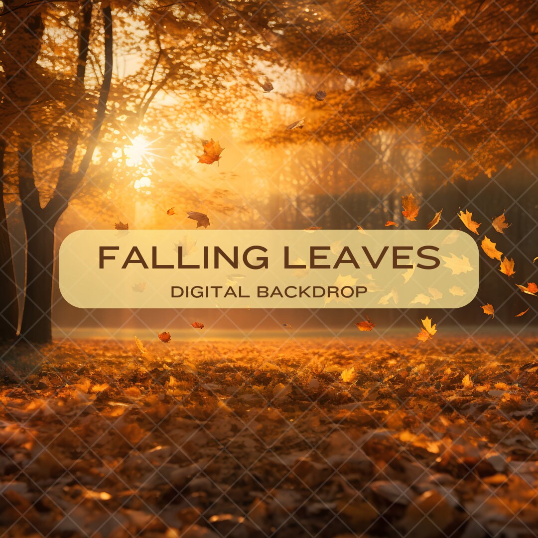 Fall Leaves Backdrop, Falling Leaves Backdrop, Autumn Leaves Backdrop ...