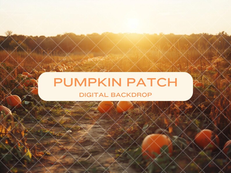 Pumpkin Patch Photography Backdrop, Fall Digital Backdrop, Autumn Photography Background, Sunset ...