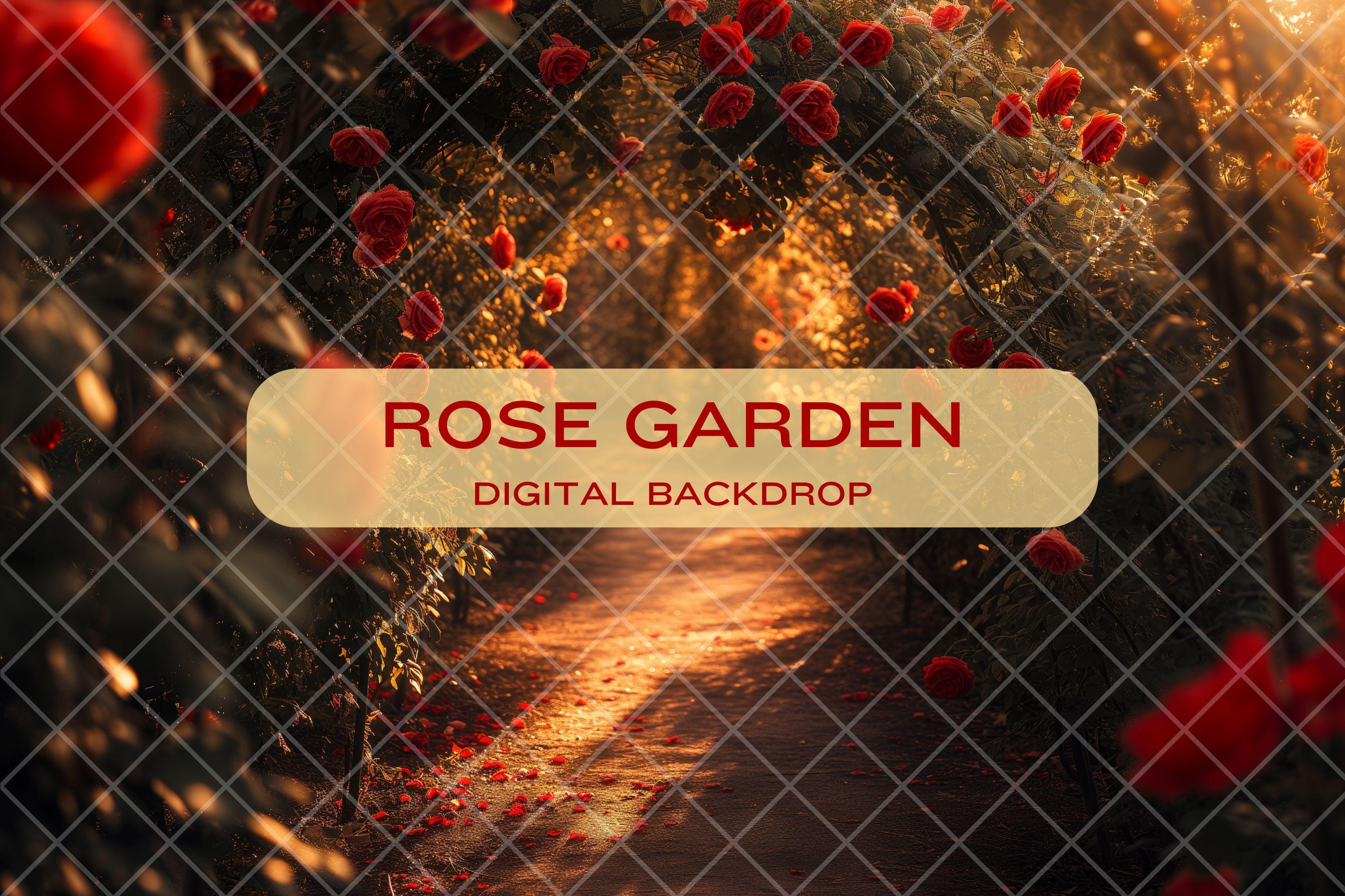 Red Roses Digital Backdrop, Rose Garden Digital Background, Rose Garden ...