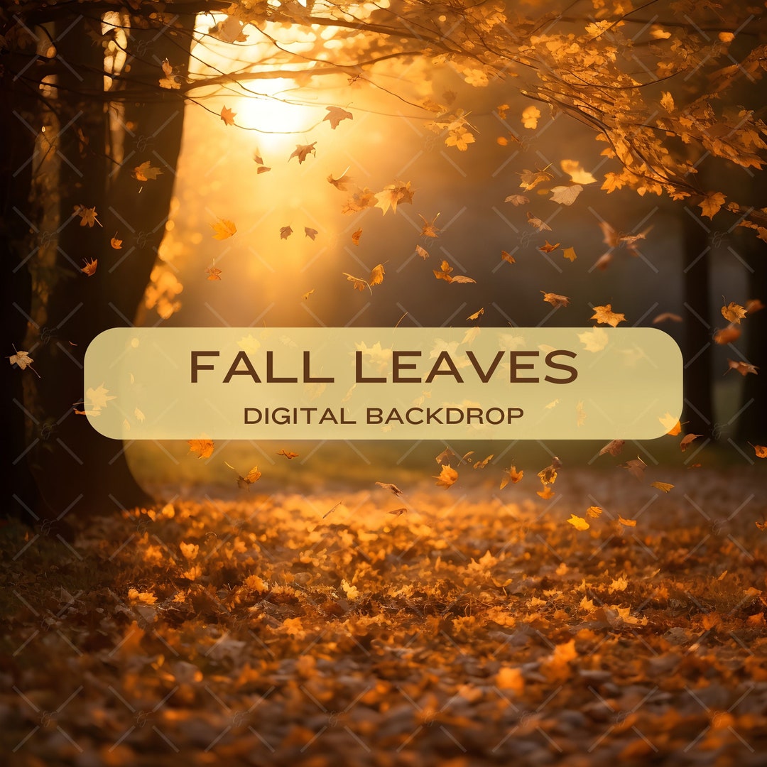 Fall Golden Hour Backdrop, Beautiful Autumn Back Drop, Bright Warm ...