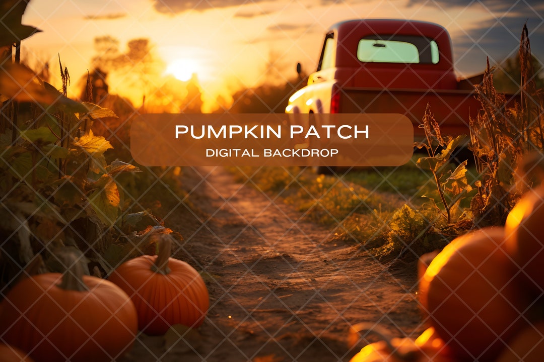 Pumpkin Patch Digital Backdrop, Autumn Pumpkins Photography Backdrop ...