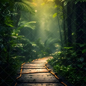 3 Jungle Path Digital Backdrops Jungle Backdrop Photography - Etsy