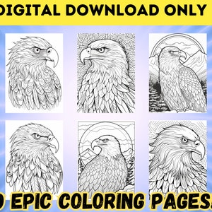 Coloring Book 20 Pages Digital Print Bald Eagles Hand Drawn Adult ...
