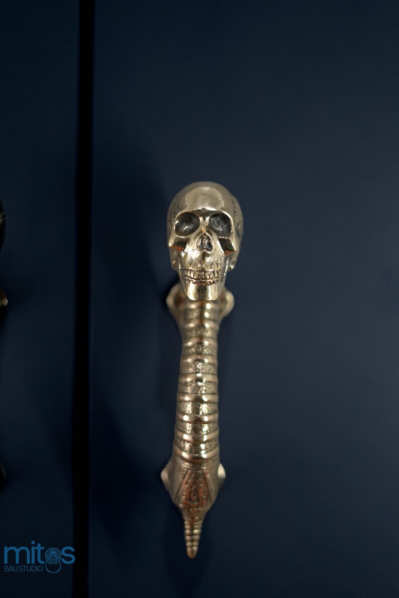 Luxury Skull Door Handle, Skull Shape Pair Door Handle Solid Brass ...