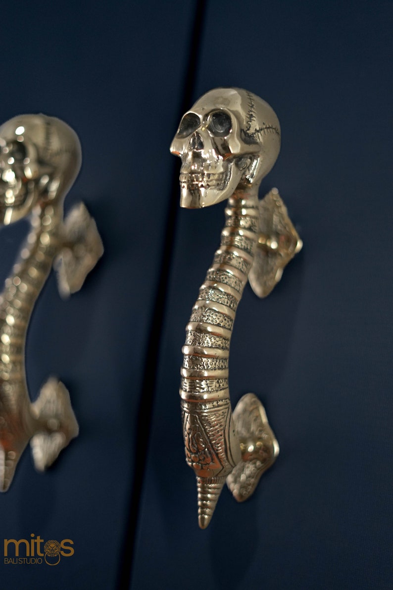 Luxury Skull Door Handle, Skull Shape Pair Door Handle Solid Brass ...