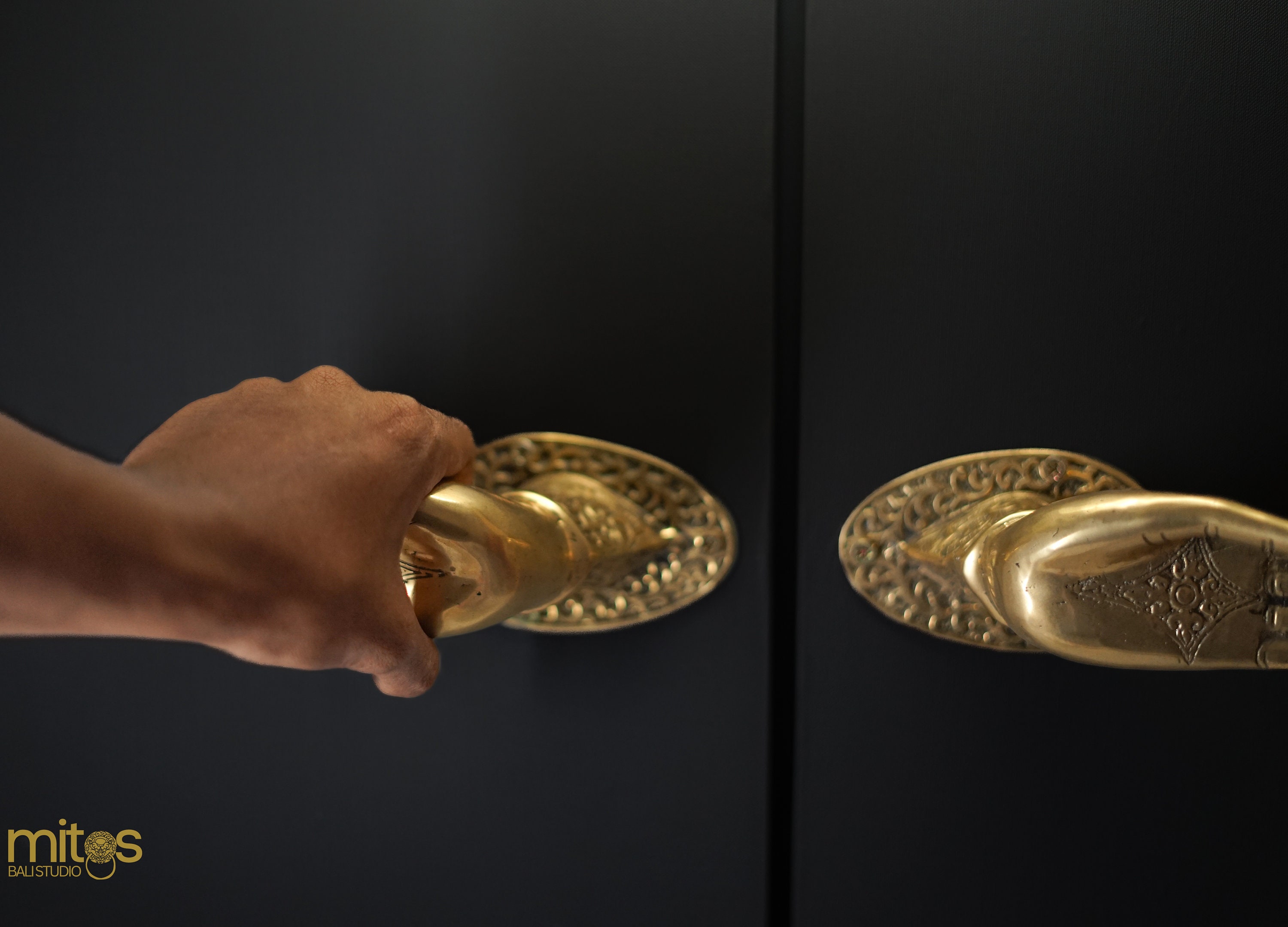 Unique Door Handle Solid Brass Gold, Summer Decor, Pair Door Handle ...