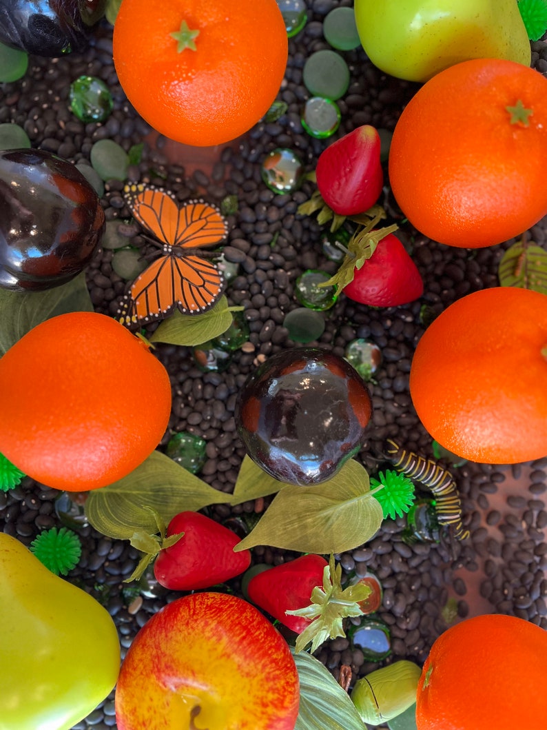 The Very Hungry Caterpillar Sensory Bin Kit - Etsy