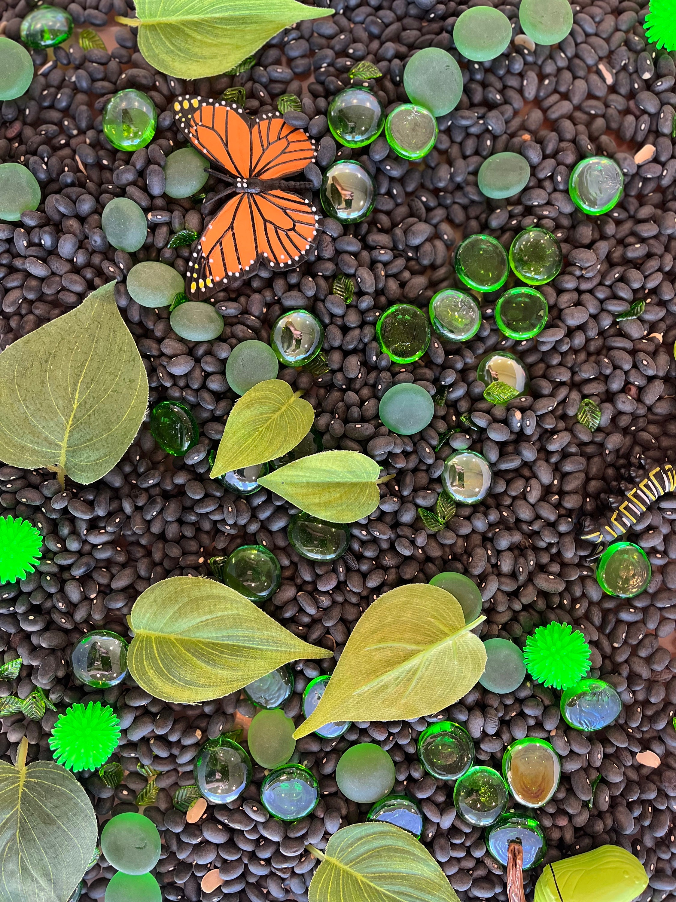 The Very Hungry Caterpillar Sensory Bin Kit - Etsy
