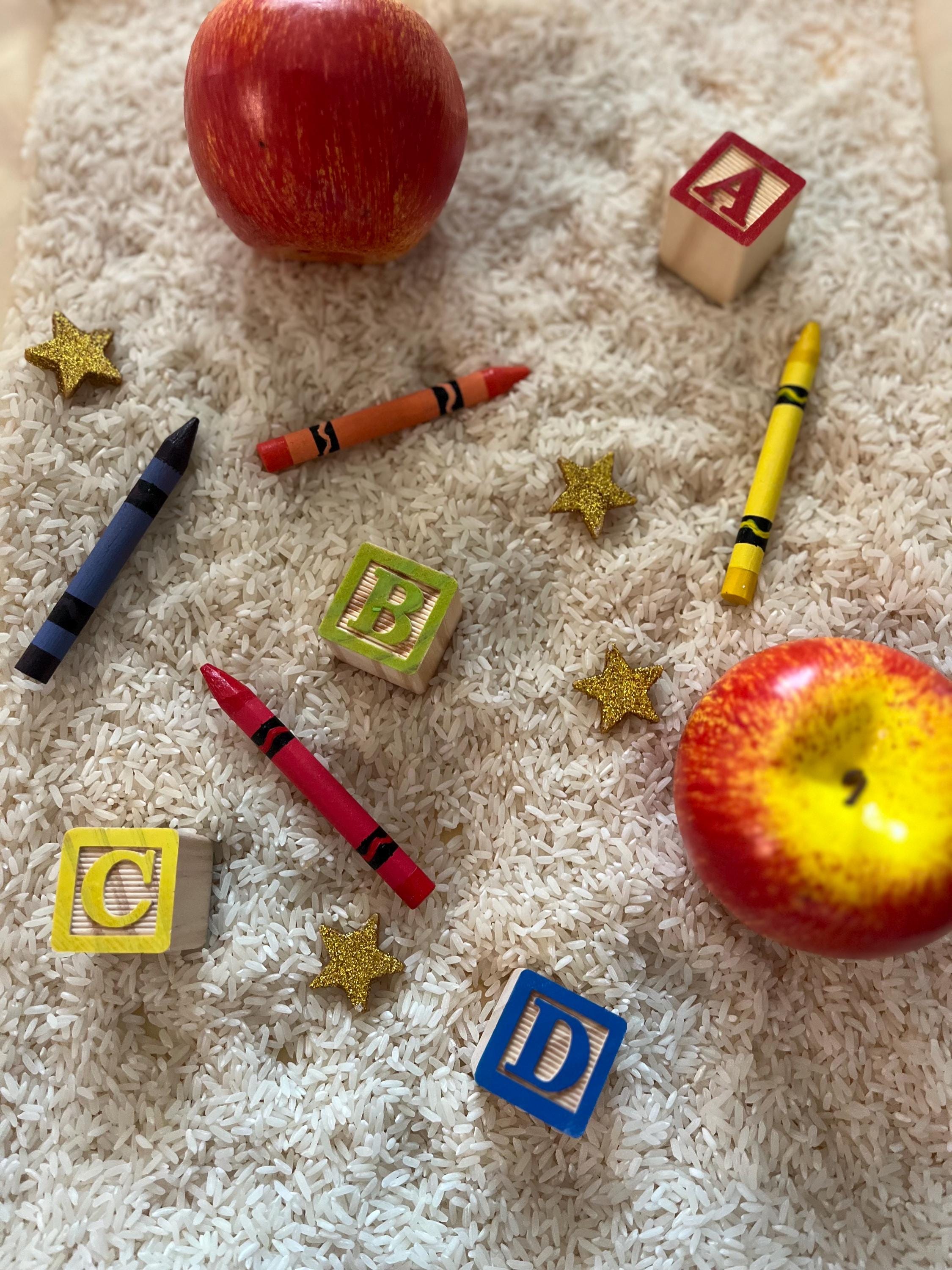 Back to School Sensory Bin Kit - Etsy