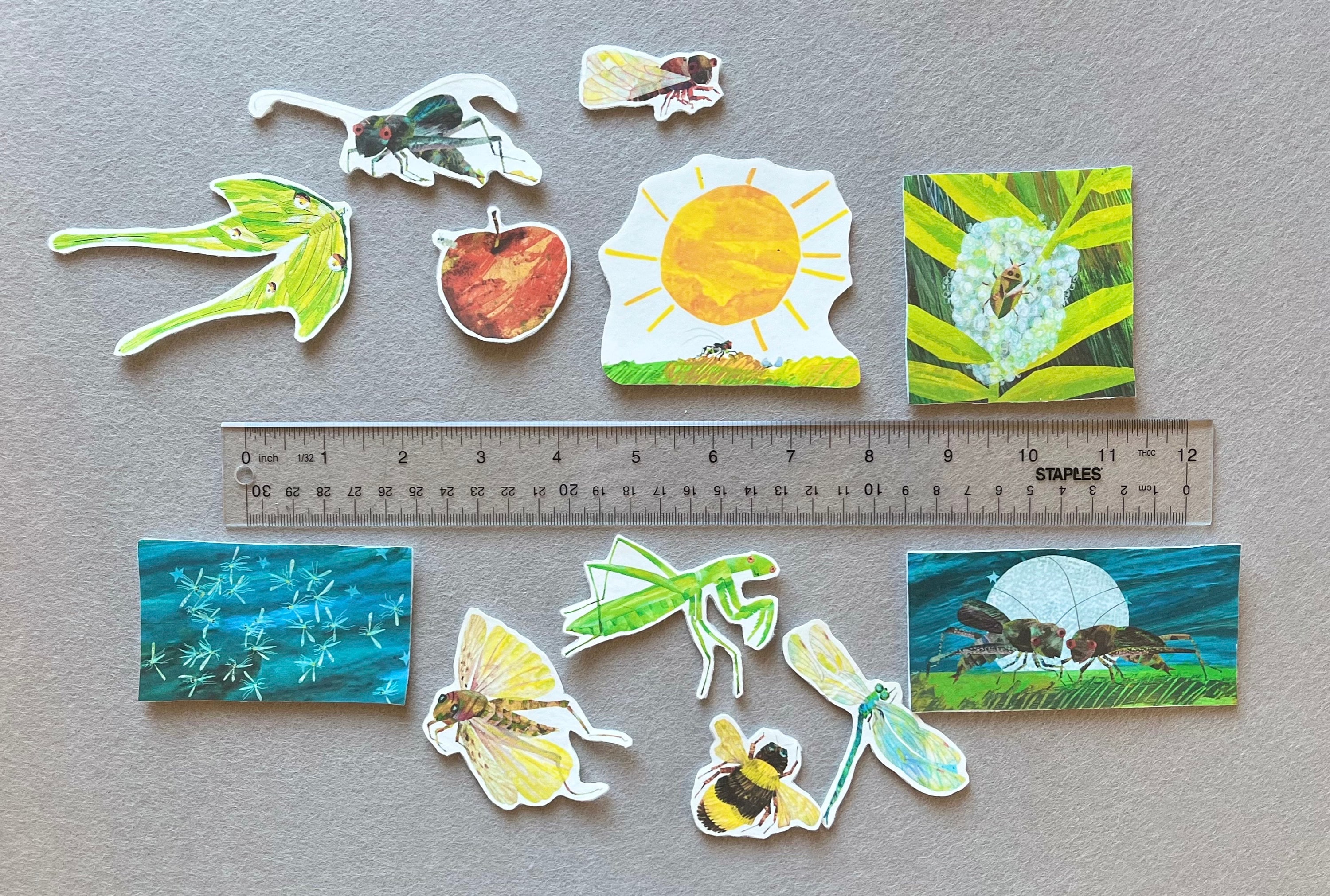 The Very Quiet Cricket by Eric Carle Felt Board Pieces - Etsy