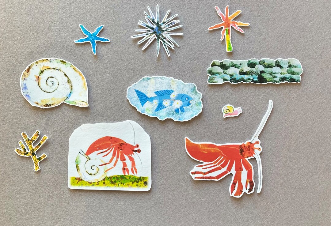 A House for Hermit Crab by Eric Carle Felt Board Pieces - Etsy