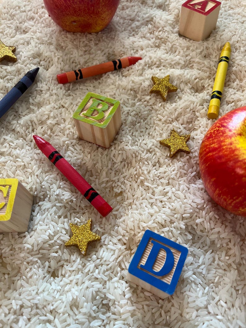 Back to School Sensory Bin Kit - Etsy