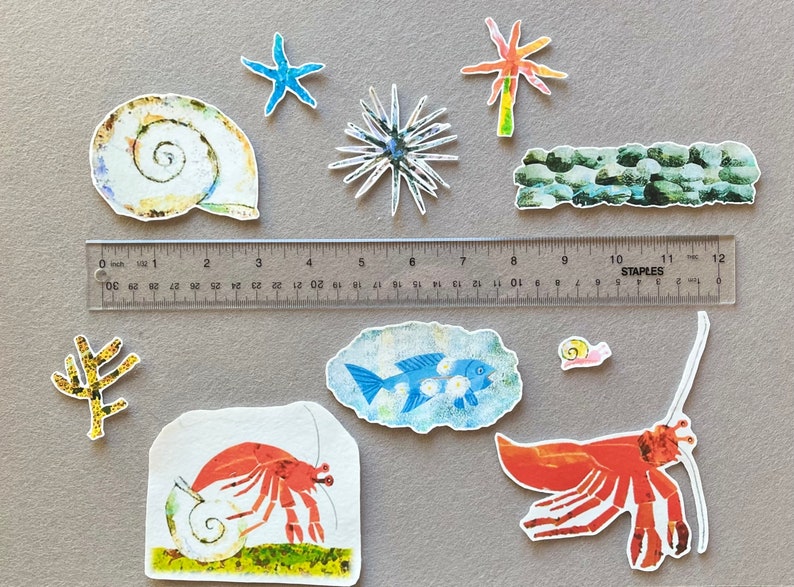 A House for Hermit Crab by Eric Carle Felt Board Pieces - Etsy