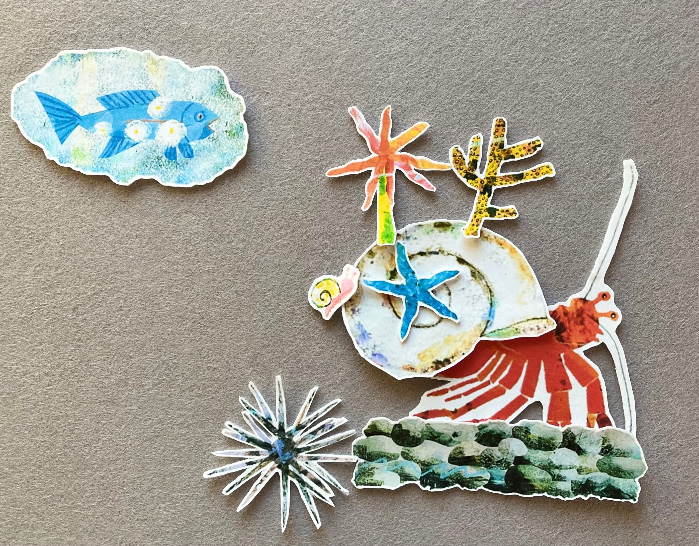 A House for Hermit Crab by Eric Carle Felt Board Pieces - Etsy