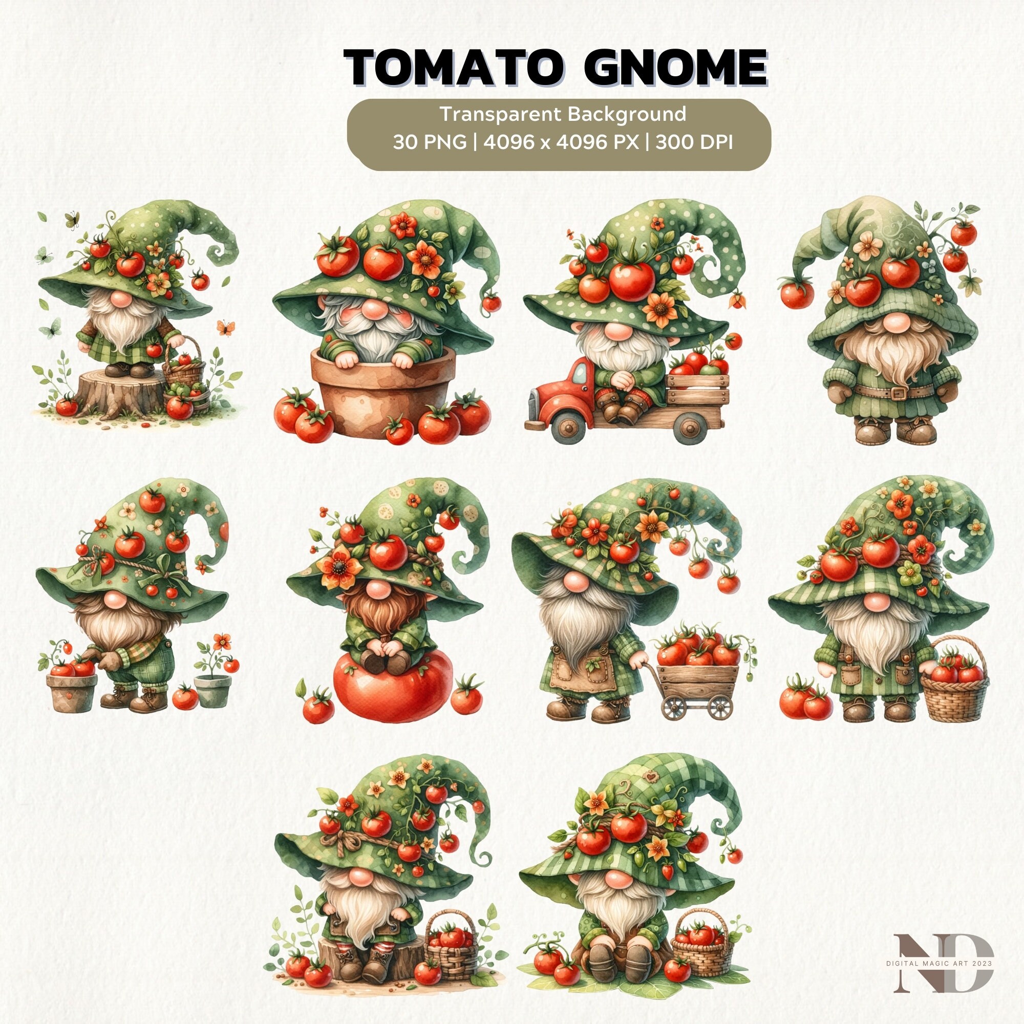 Watercolor Tomato Gnome Clipart Gnome PNG Garden Farm Clipart Spring ...