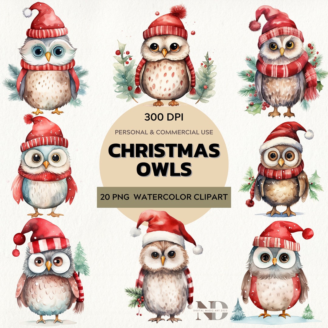 Watercolor Christmas Owls Clipart Christmas Clipart Animals Clipart Owl ...