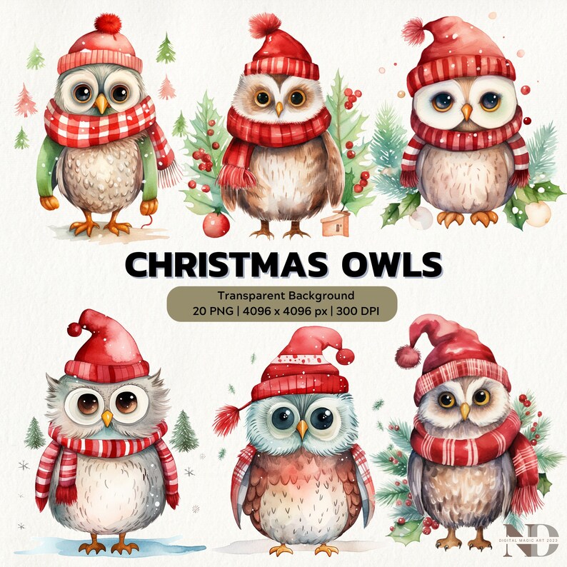 Watercolor Christmas Owls Clipart Christmas Clipart Animals Clipart Owl ...