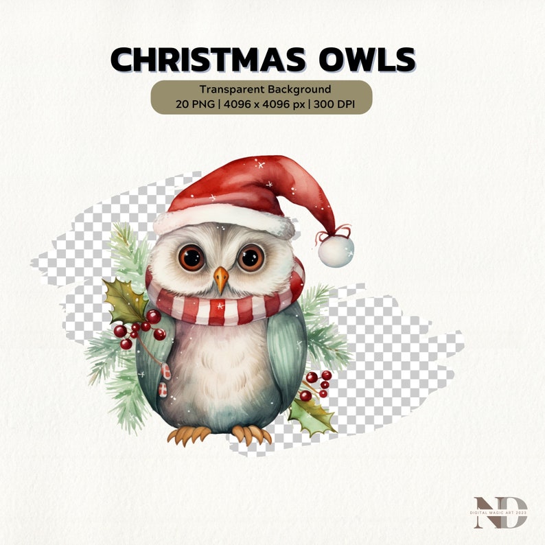 Watercolor Christmas Owls Clipart Christmas Clipart Animals Clipart Owl ...