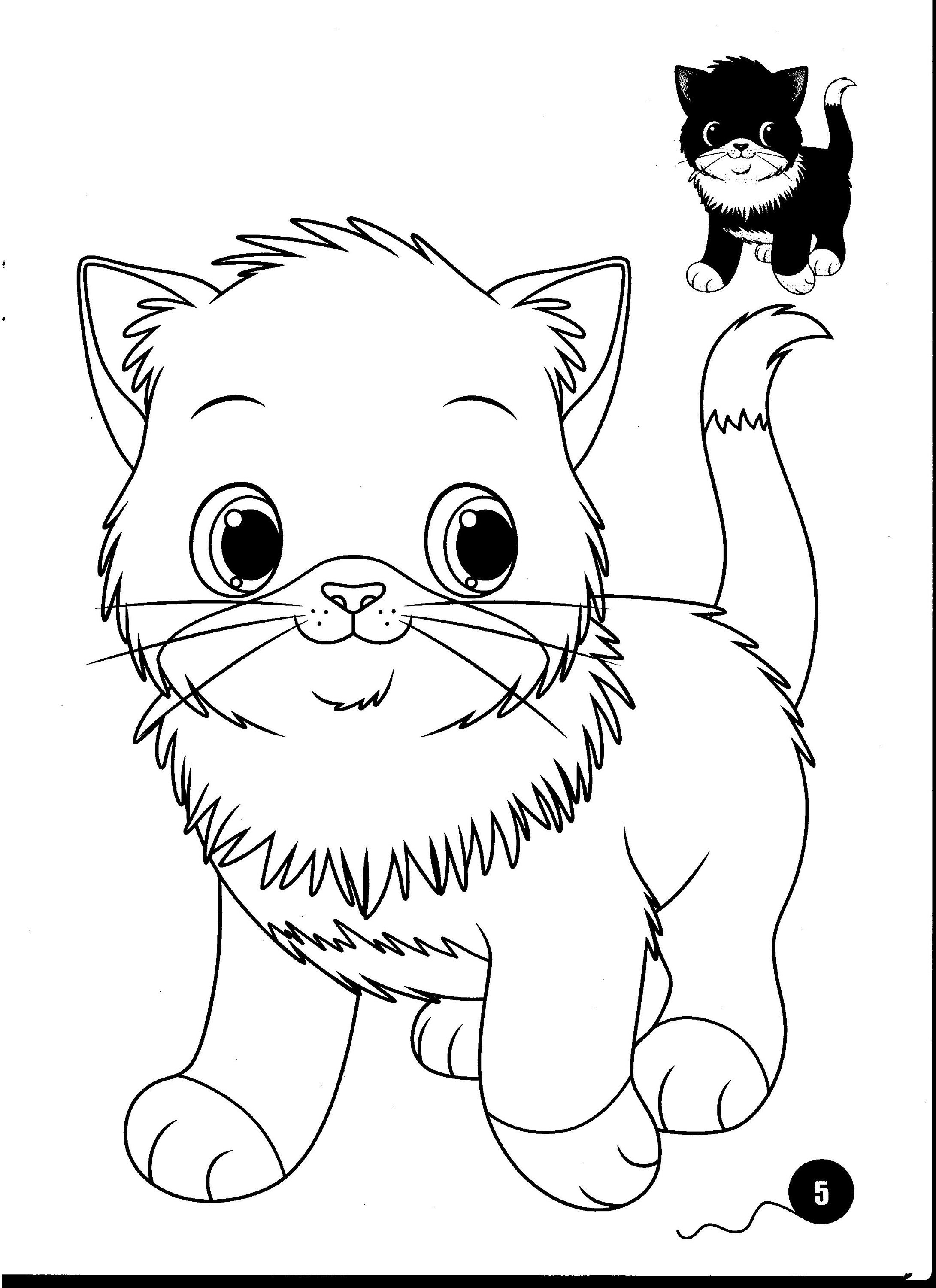 All Cats Coloring Pages Plus 1 - Etsy