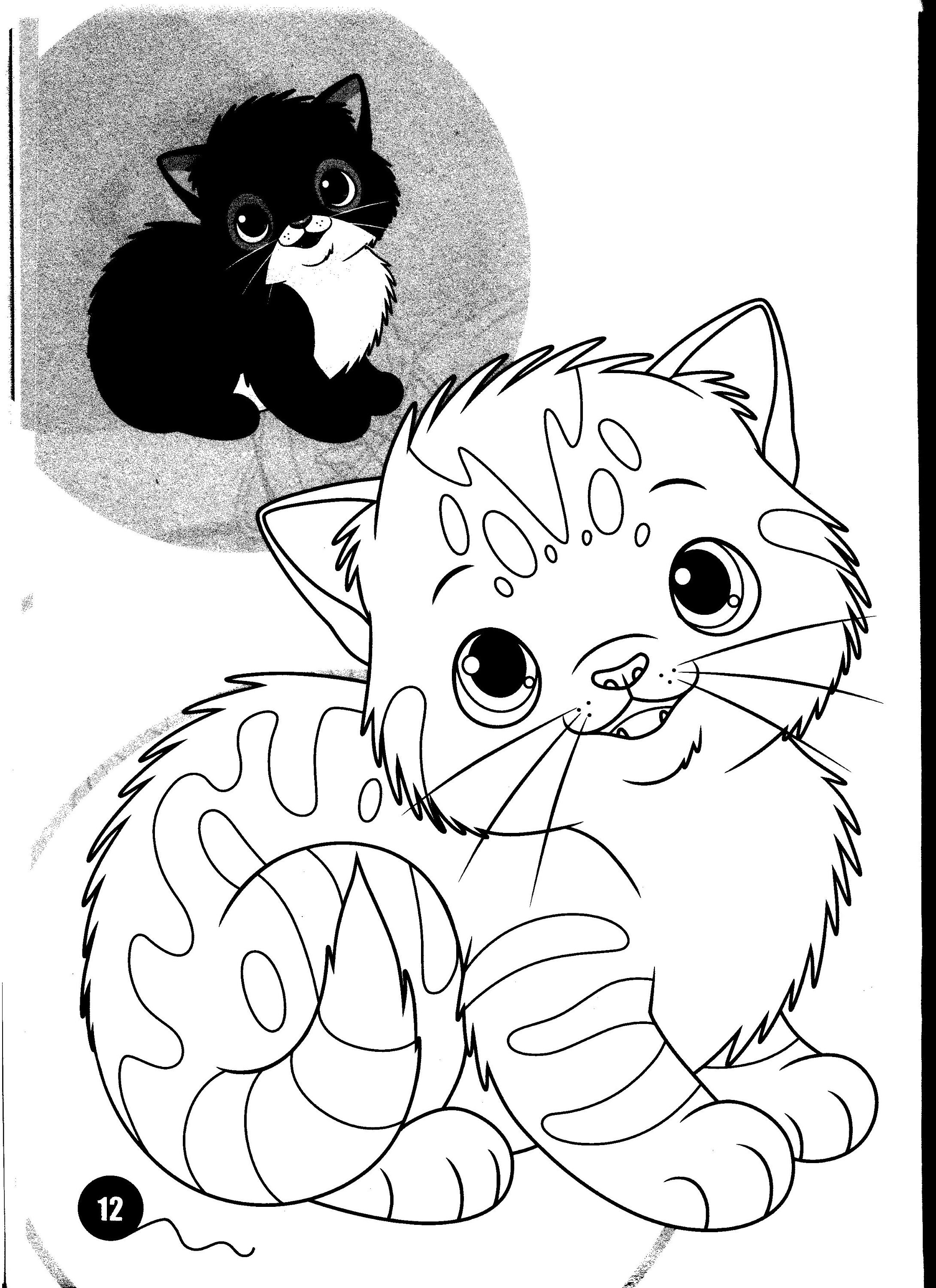 All Cats Coloring Pages Plus 1 - Etsy