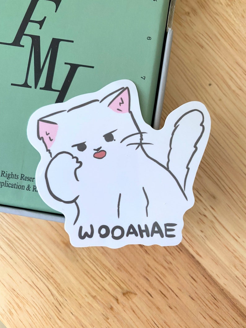 SEVENTEEN '96 Cat-line Stickers // SVT Jun Hoshi Wonwoo Woozi - Etsy