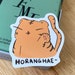 SEVENTEEN '96 Cat-line Stickers // SVT Jun Hoshi Wonwoo Woozi - Etsy
