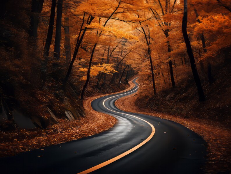Fall Winding Road With Foliage Around Fall Wall Art Fall Print Sunset ...