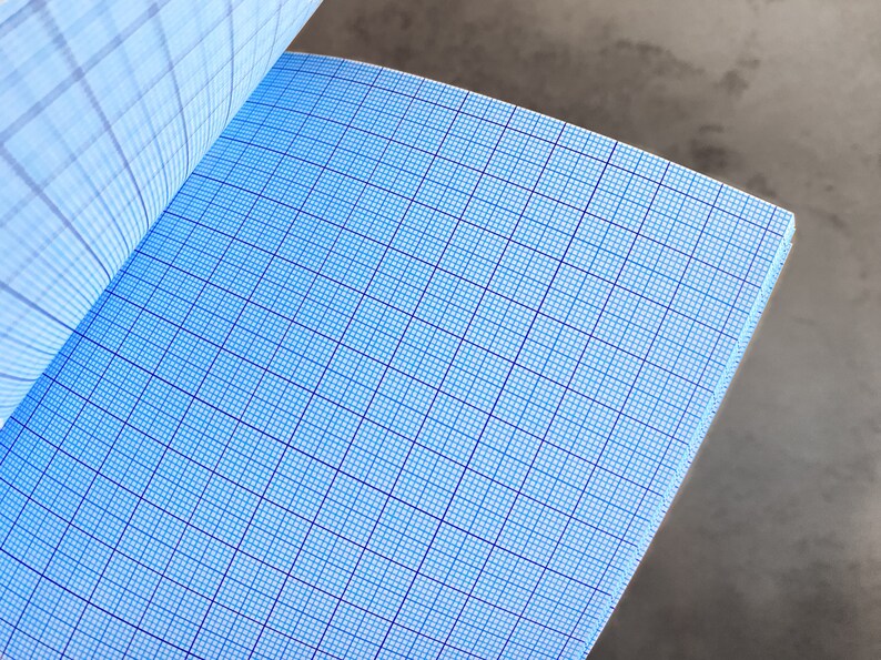 Notebook Toad and Giant Mushrooms Graph Paper Notebook Psychedelic Pop ...