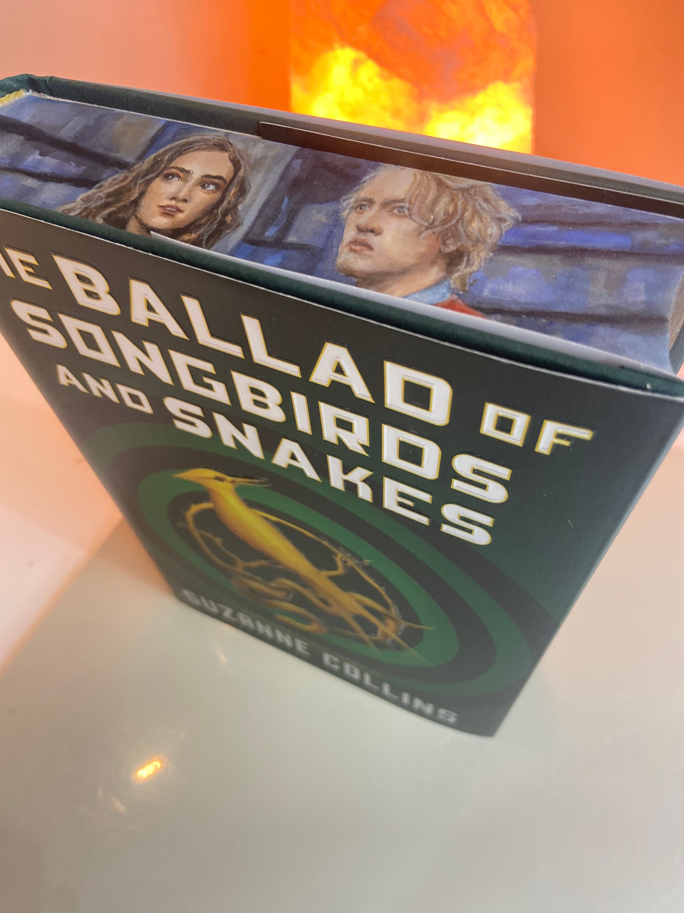 The Ballard of Songbirds and Snakes Fore-edge Painting - Etsy