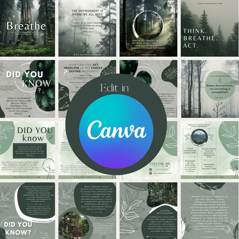 Forest Instagram Post Template, Nature Conservation (30 Posts) - Etsy