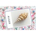 32 PNG Seashell Flashcards, Montessori Cards, Nomenclature Cards ...